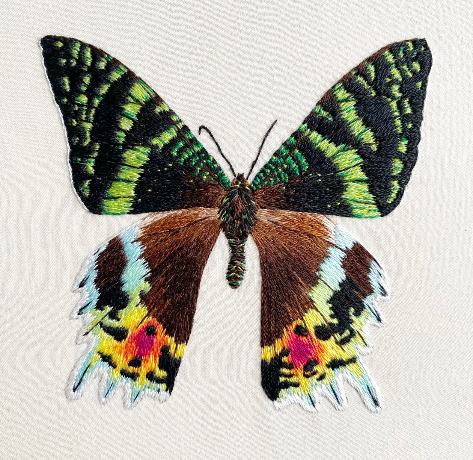 Madagascan Sunset Moth Embroidery Pattern - Recto | Thread Painting ...