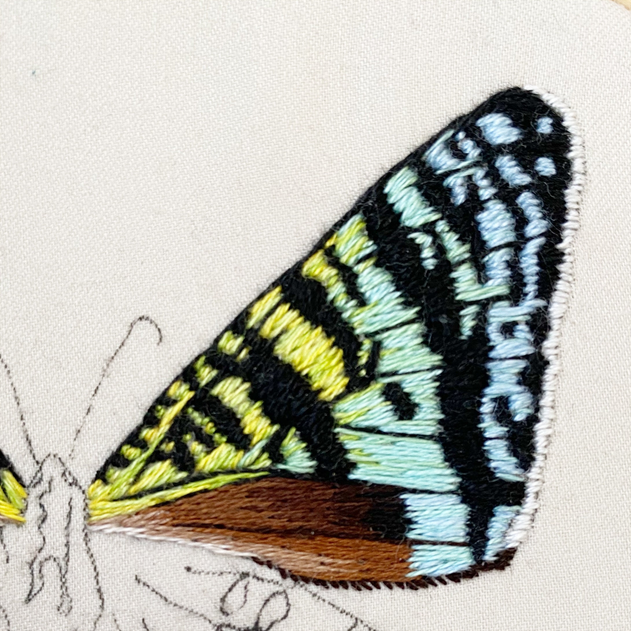 Madagascan Sunset Moth Embroidery Pattern - Verso | Thread Painting ...