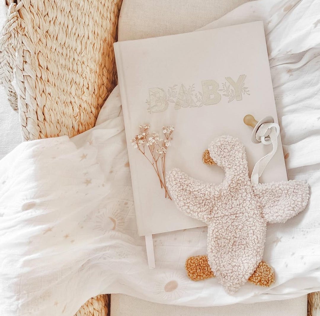 Little Goose Dummy Comforter, Dummy Comforter, Teddy Fleece, Paci ...