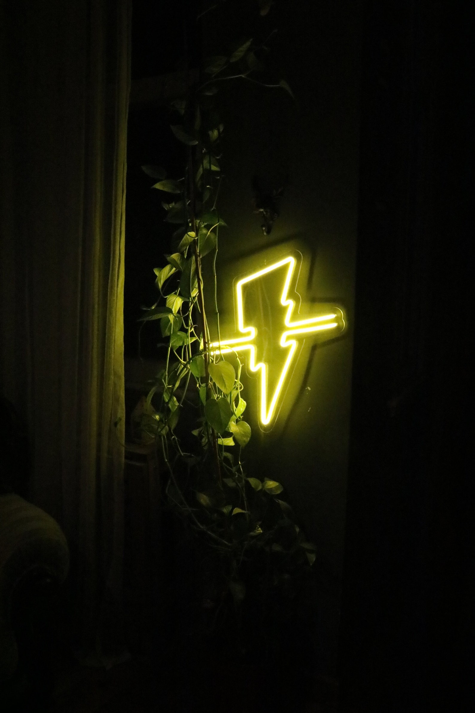 Flash Neon Sign Home Neon Sign Custom Neon Lights for - Etsy