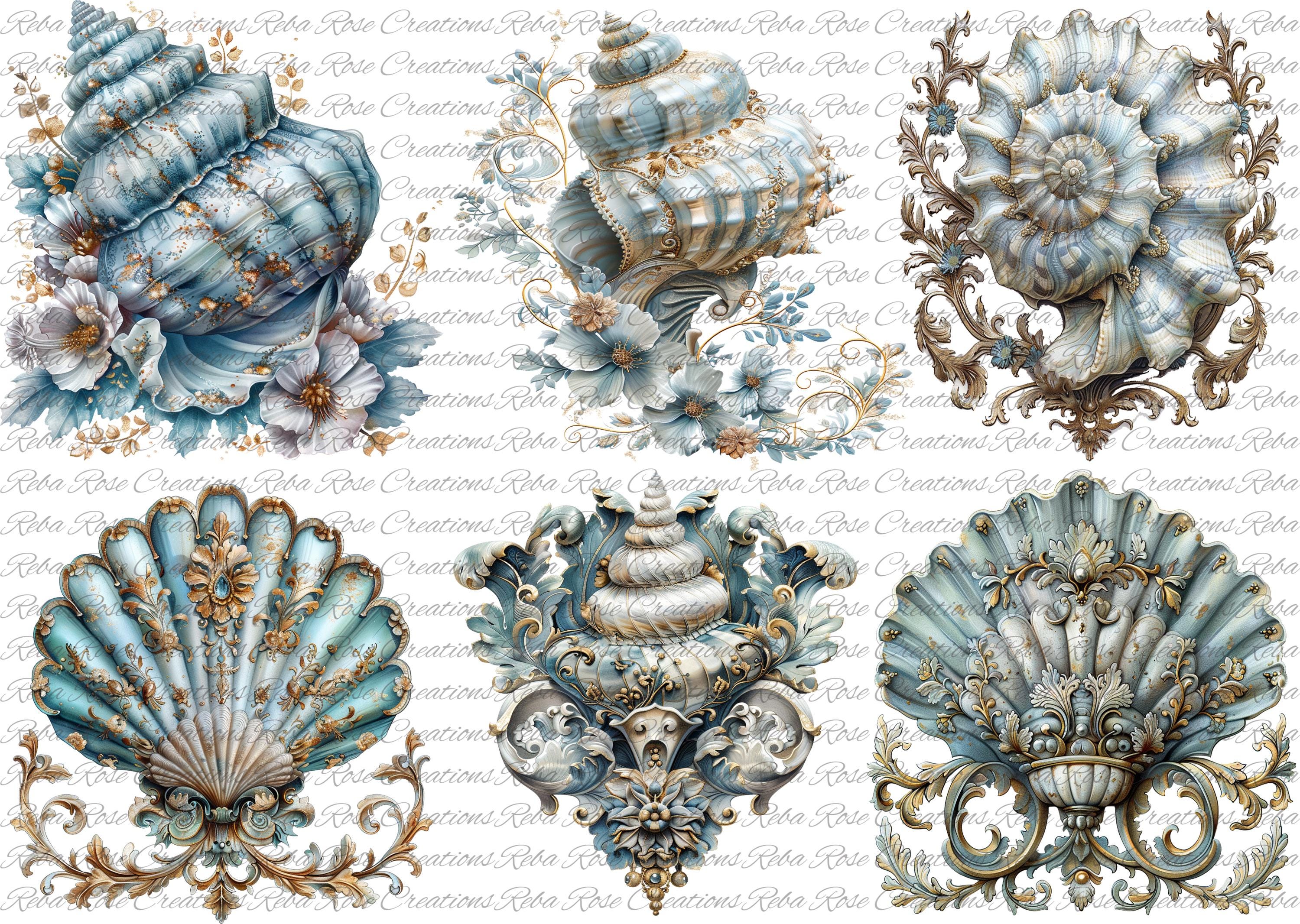 Sea Shells A4 Rice Papaer for Coasteres Cs-48/sea Shells A4 Decoupage ...