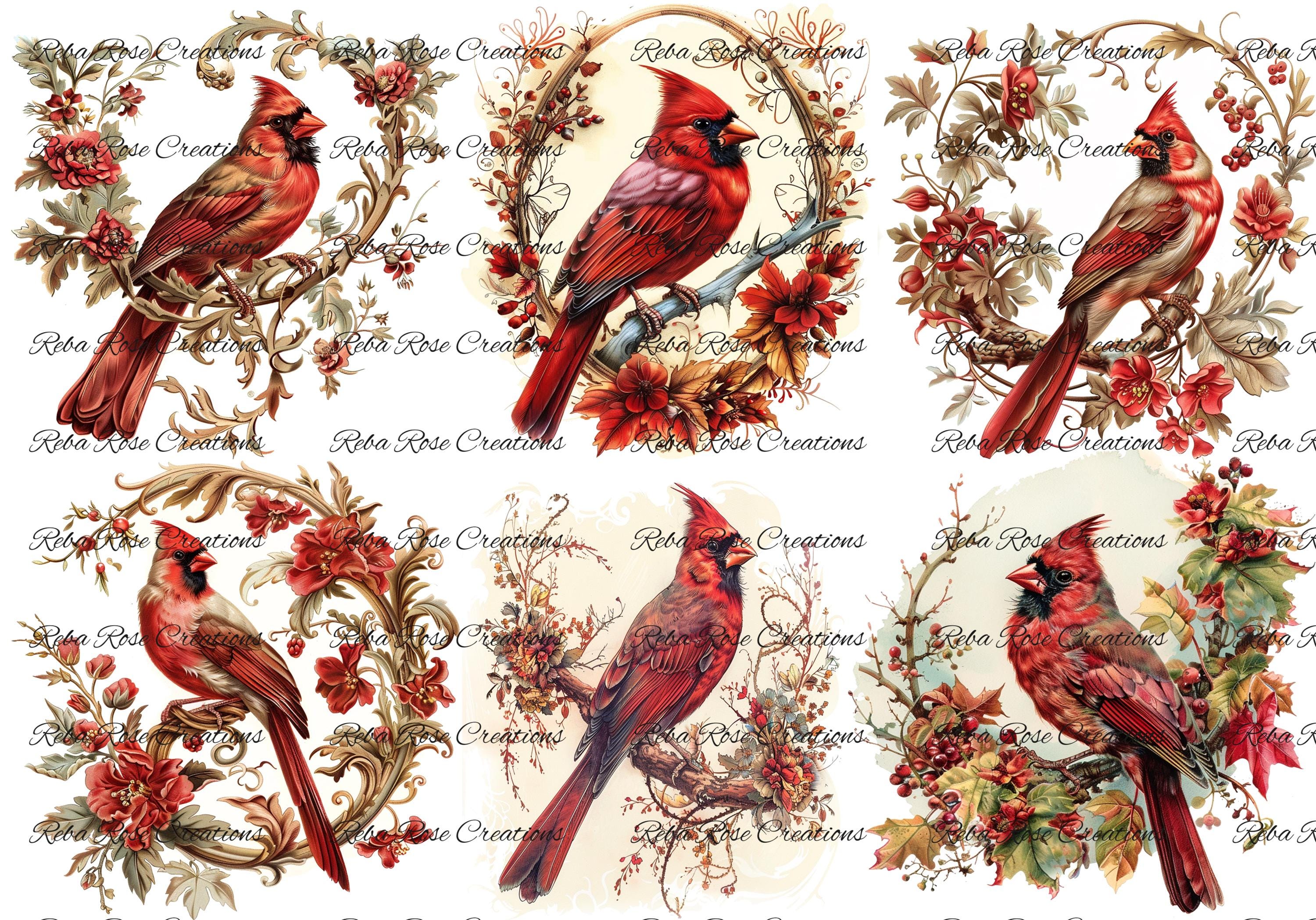 CS-22 Cardinal Coaster Set A4 Rice Paper - Etsy
