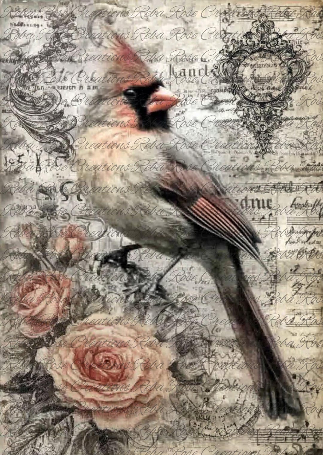 2395 Roses and Relics Cardinal A4 Rice Paper - Etsy