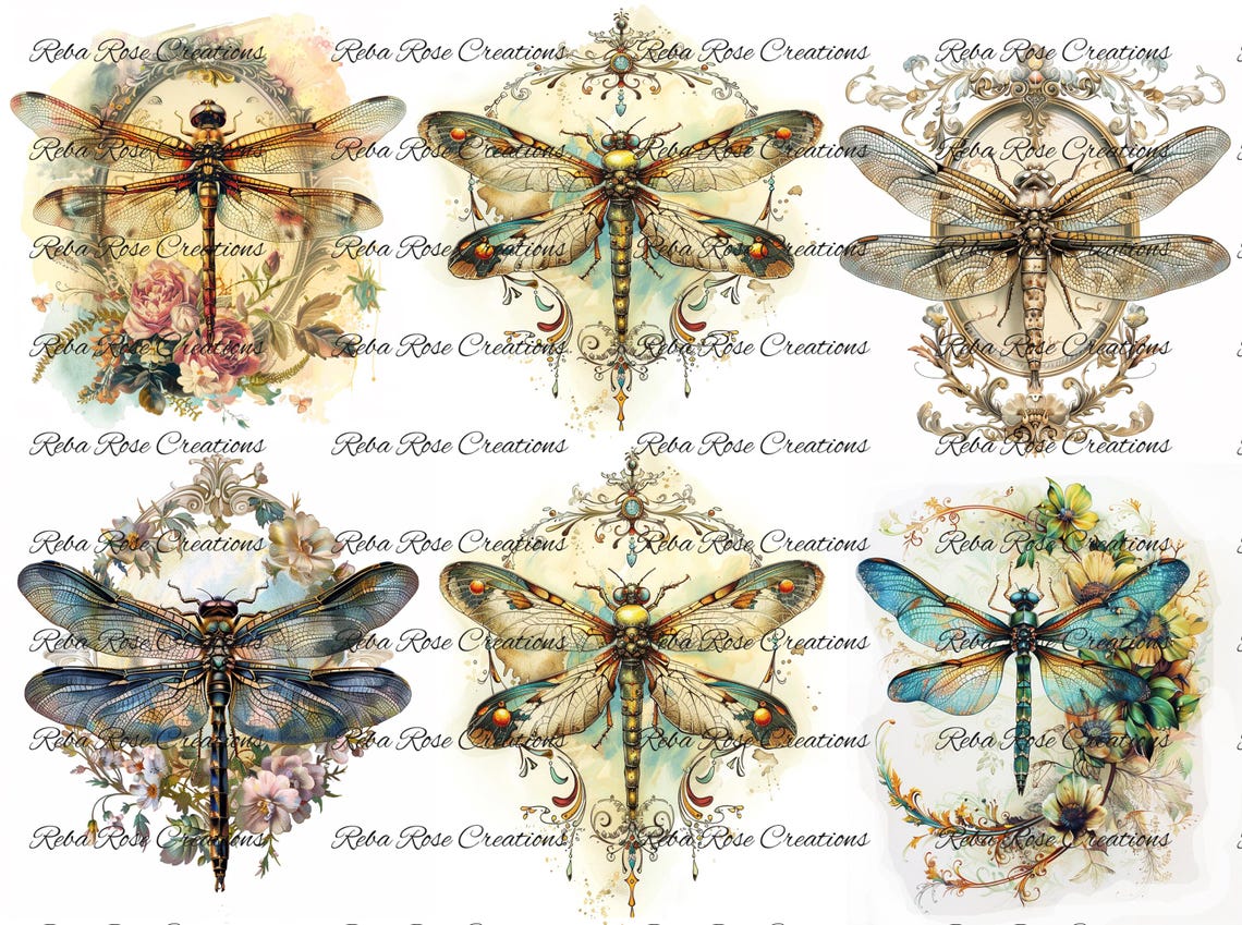 Dragonfly Two Coasters Rice Paper Cs-21/dragonfly Two Coaster Set ...