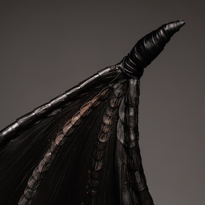 Large Bat Wings | Black Dragon Wings | Bat Wings Cosplay for Halloween ...