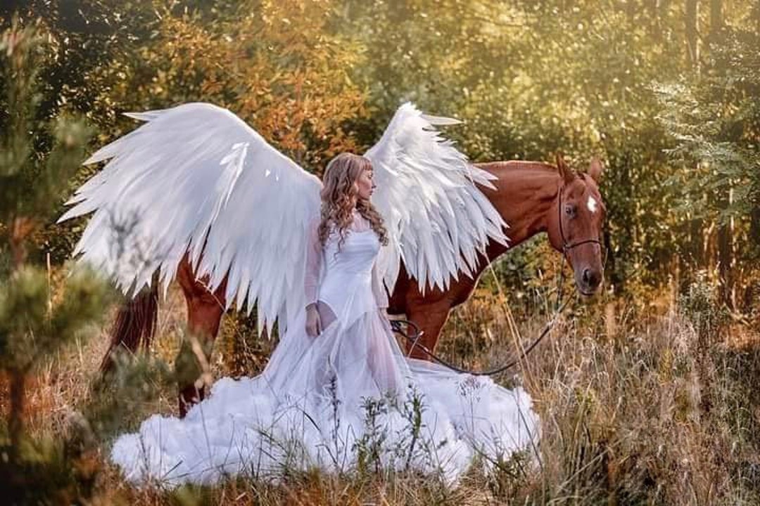 White Huge Feather Wings White Feather Wings Costume Size for Adults ...