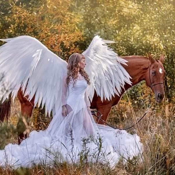 Feather Wings - Etsy