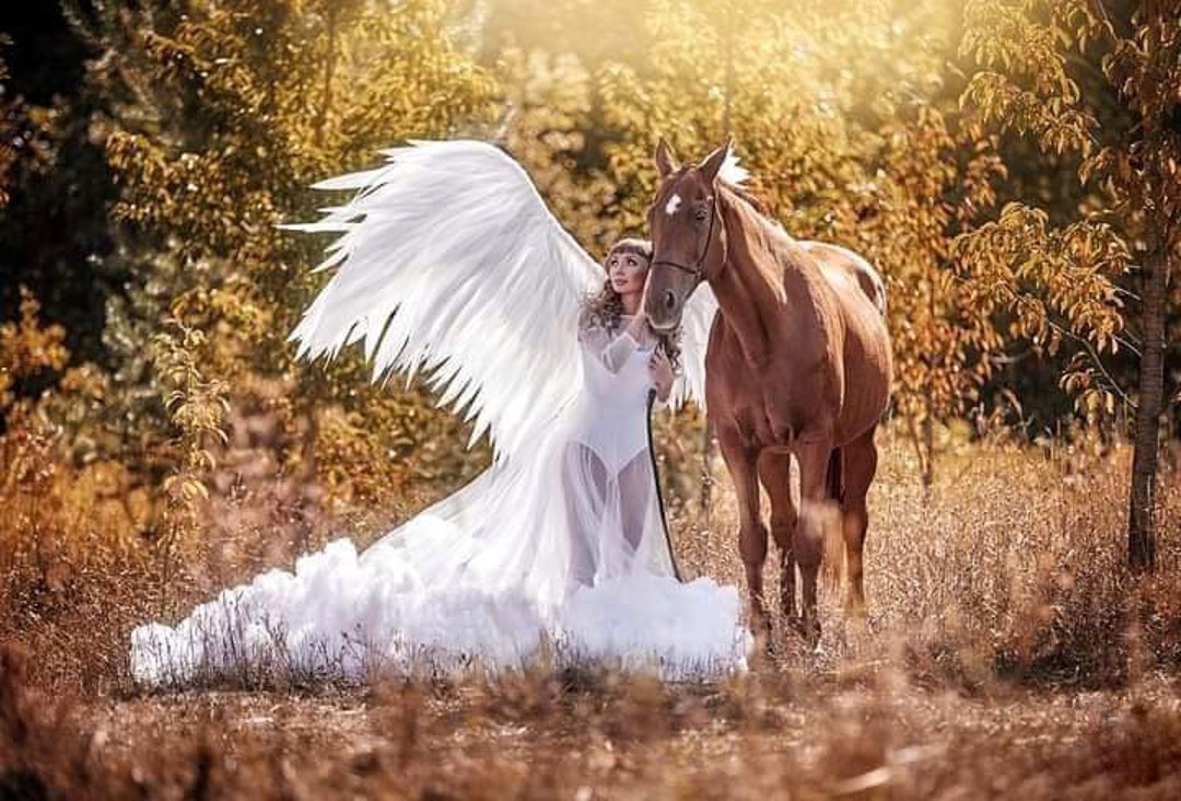 White Huge Feather Wings | White Feather Wings Costume Size for Adults ...