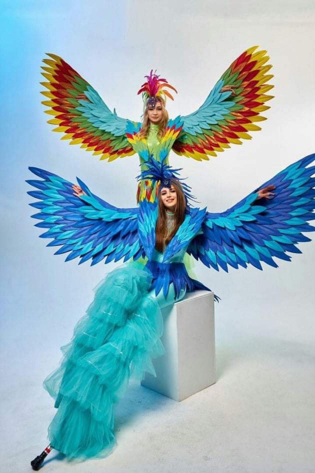 Blue and Light Blue Parrot Costume Wings | Colorful Movable Angel Wings ...