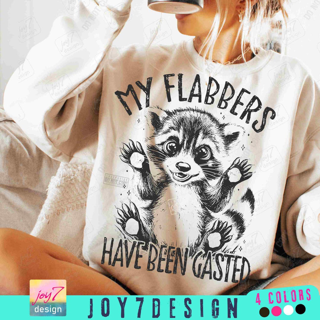 My Flabbers Have Been Gasted PNG Snarky Feral Raccoon Vintage Retro ...