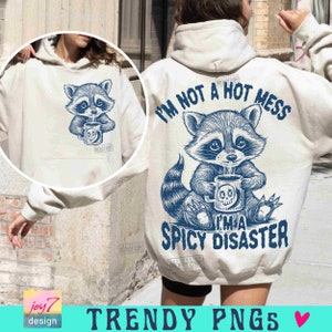 I'm Not A Hot Mess I'm A Spicy Disaster Funny Raccoon PNG Sarcastic ...