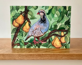 Zentangle, Greeting Card 5x7, Hand Drawn, Partridge in a Pear Tree ...