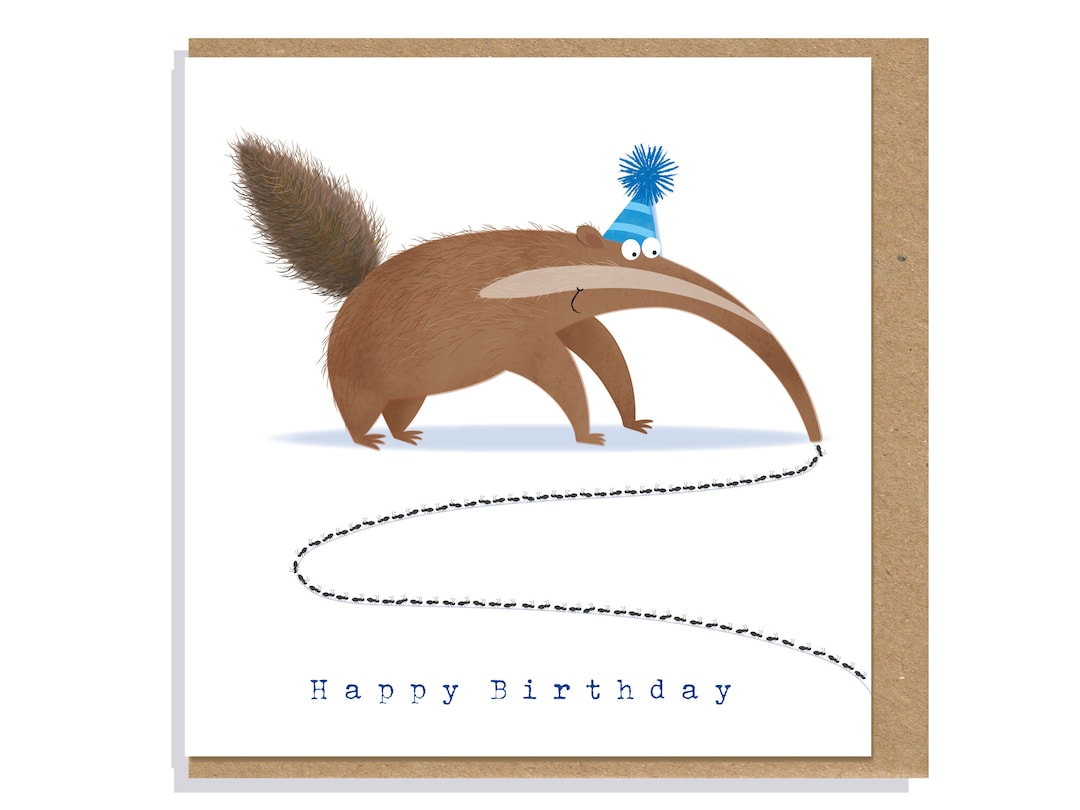 Anteater Birthday Card / Animal Greetings Card - Etsy