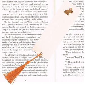 Capybara Bookmark - Etsy