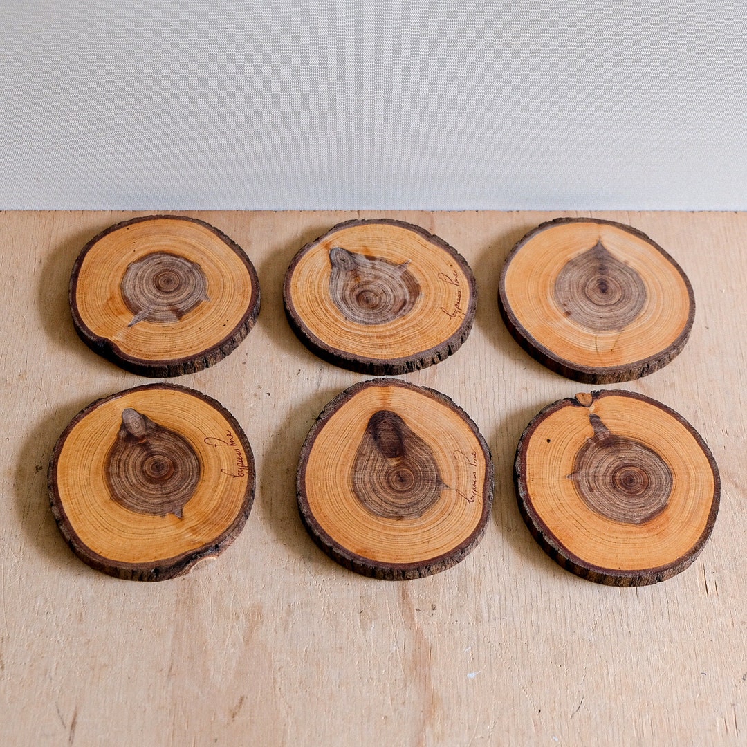 Set of 6 Vintage/handmade/rustic/tree Trunk Coasters/made of Cypress ...