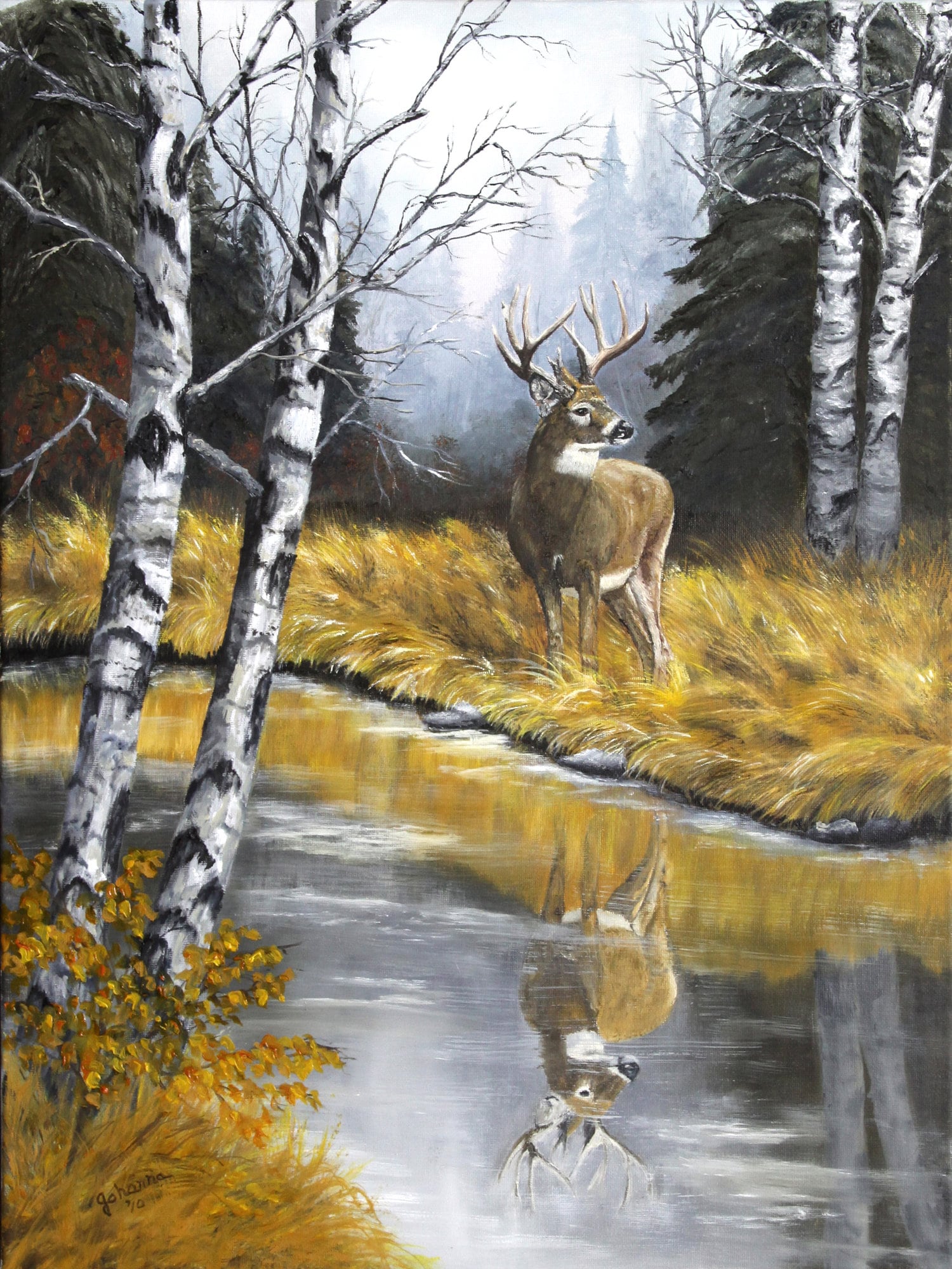 Fine Art Print buck Reflection 10 X 7.5 Whitetail Buck, Deer Art, Wall ...
