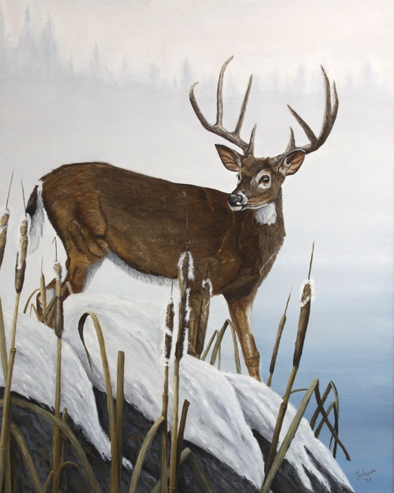 Whitetail Buck Paintings