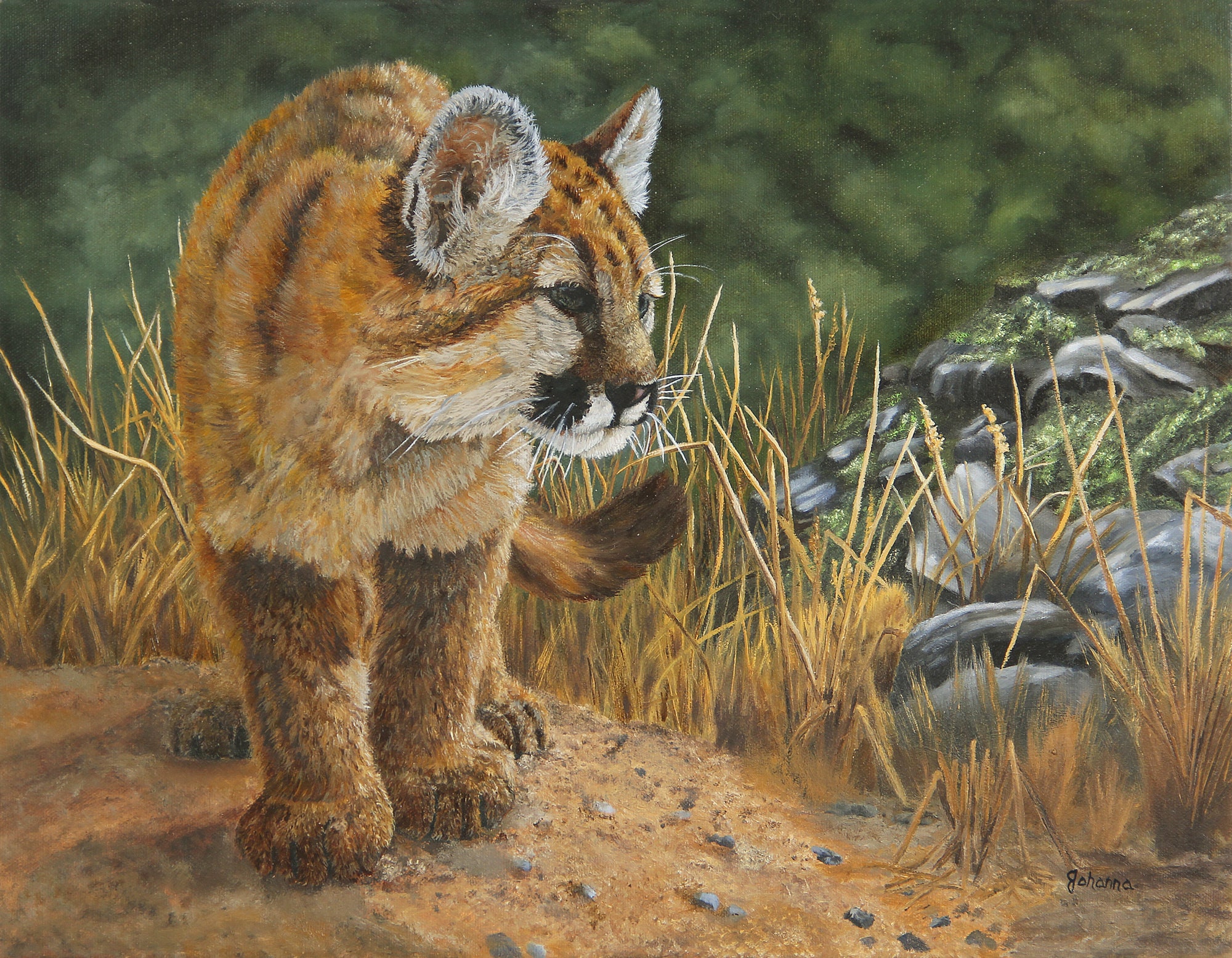 Mountain Lion Painting