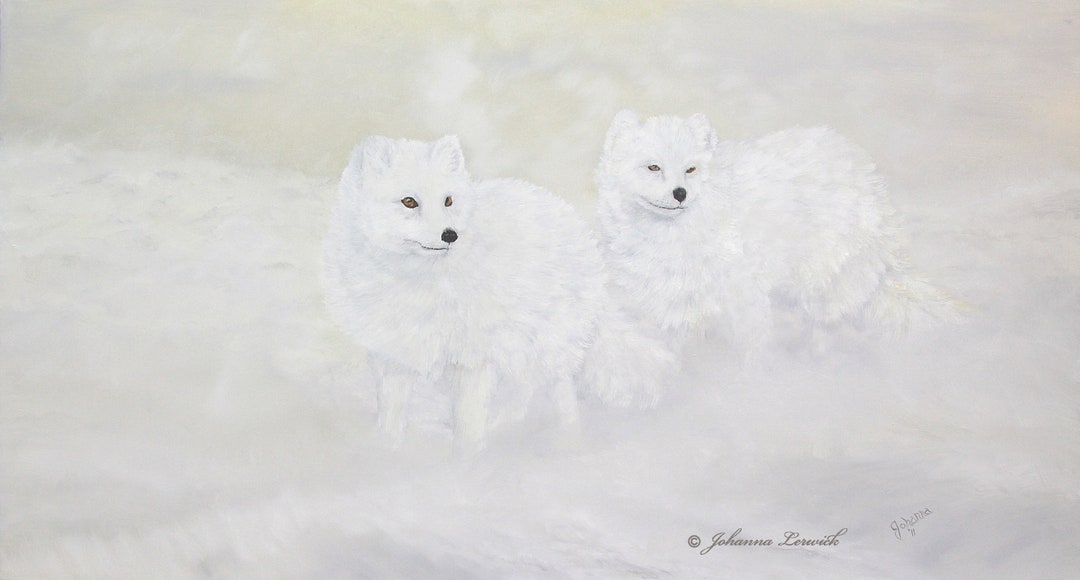Art Prints of Arctic Foxes in Winter - Wintery Fox Decor for Cozy ...