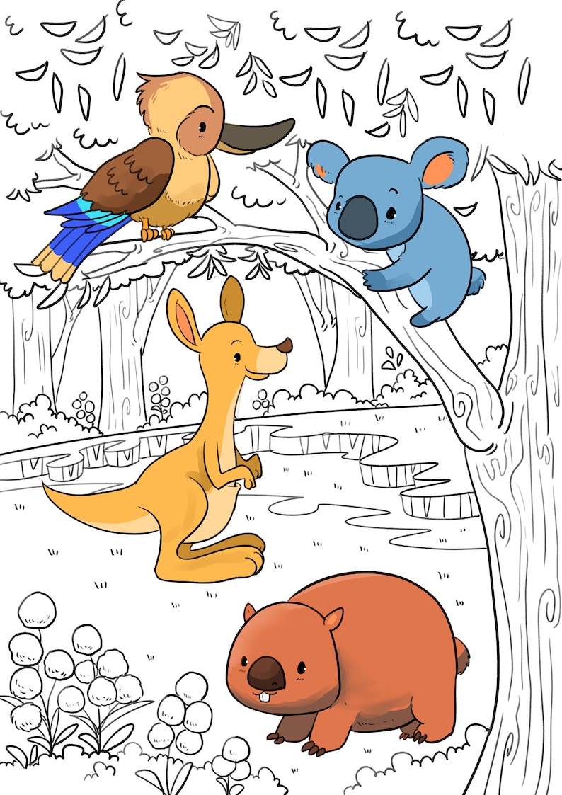 Australian Native Animal Colouring in Digital Download Page - Etsy