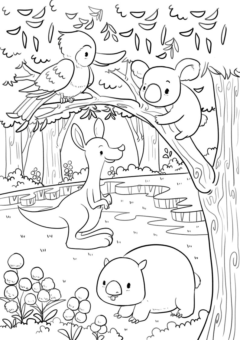 Australian Native Animal Colouring in Digital Download Page - Etsy
