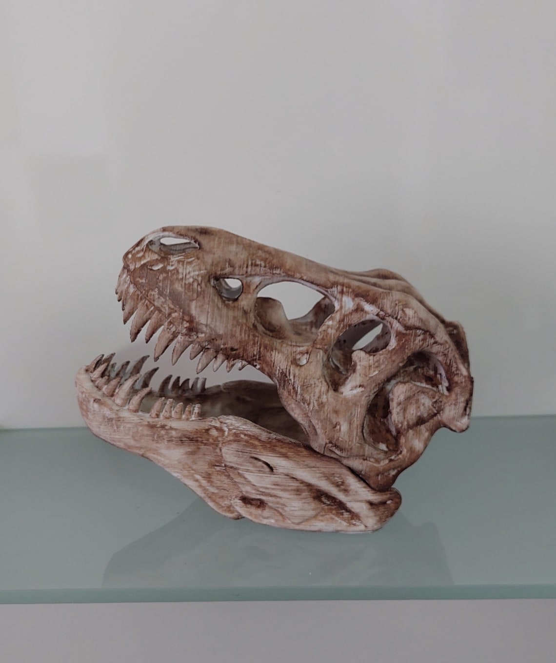 T-REX Skull Jurassic Park Dinosaur Skeleton Gift for Husband, Kids and ...