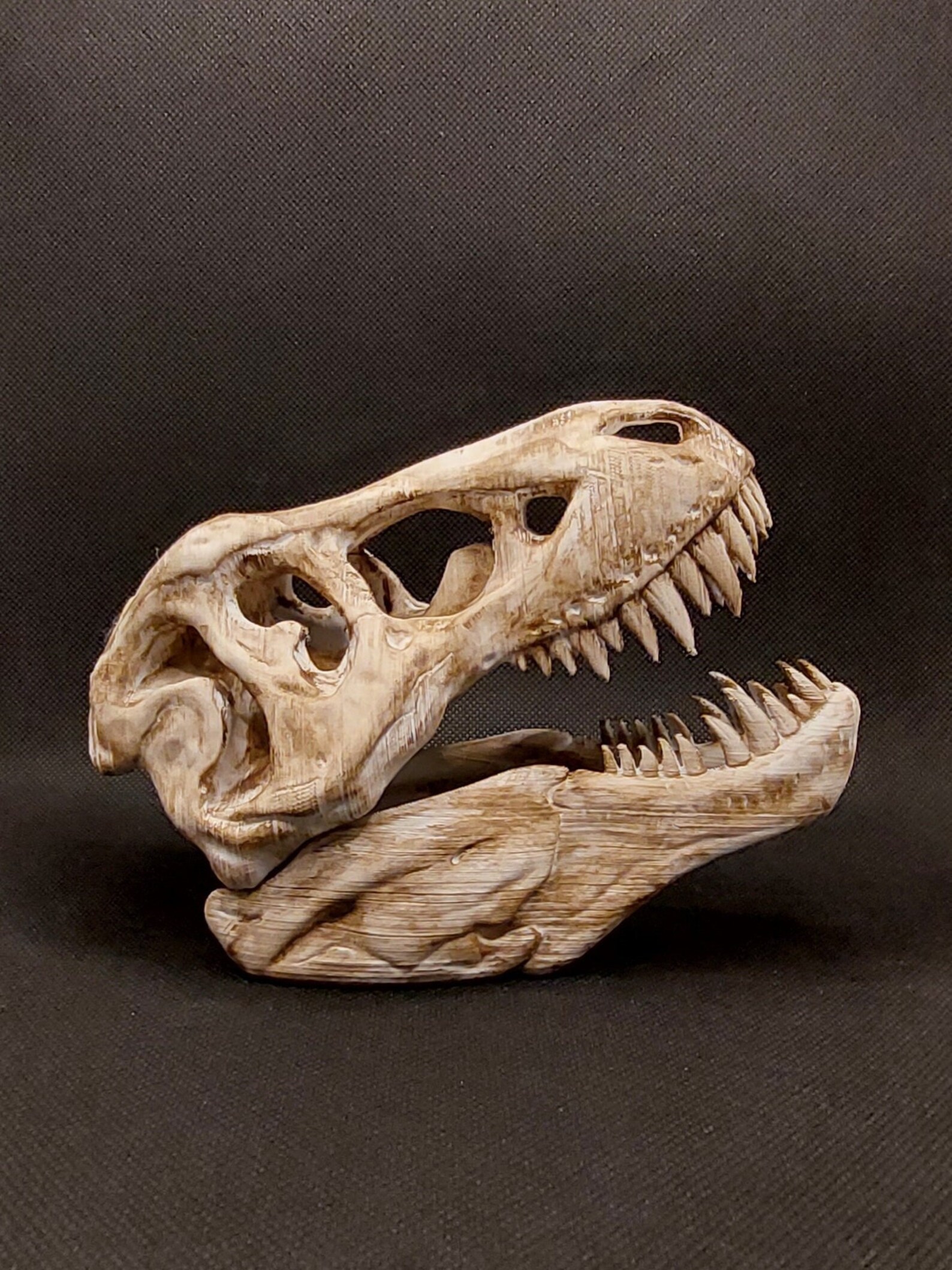 T-REX Skull Jurassic Park Dinosaur Skeleton Gift for Husband, Kids and ...