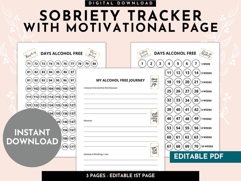 Sobriety Tracker Printable Sheets Motivational Page - Etsy
