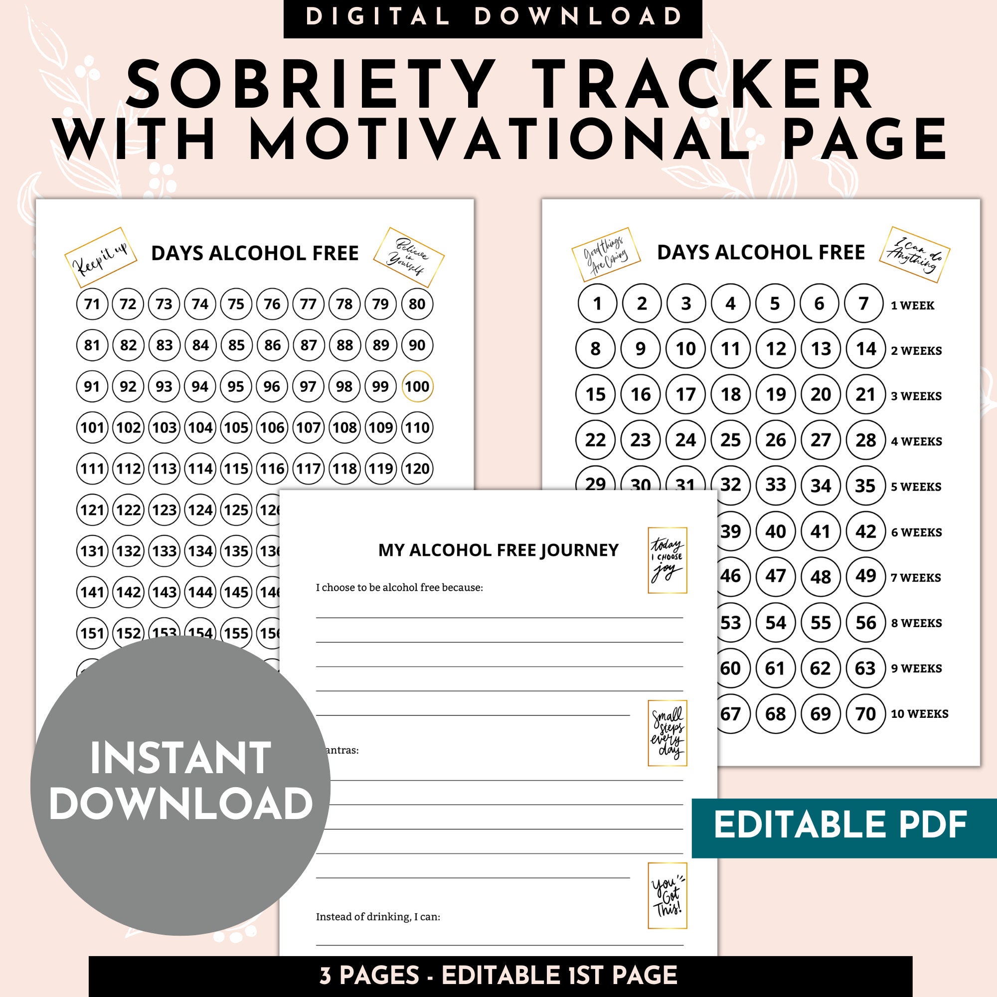 Sobriety Tracker Printable Sheets + Motivational Page - Etsy