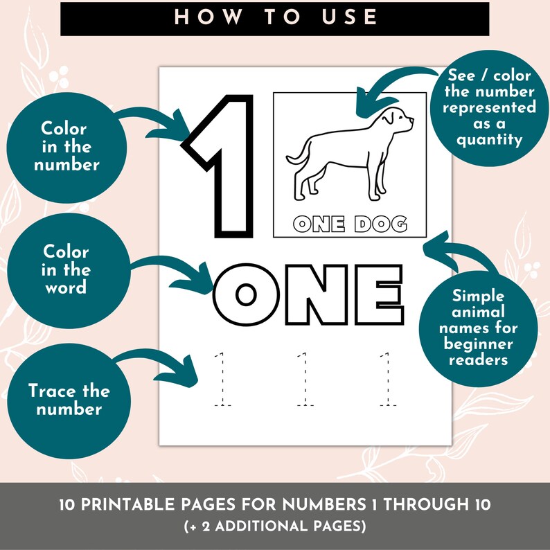 Early Learning Numbers Printable Set - Etsy