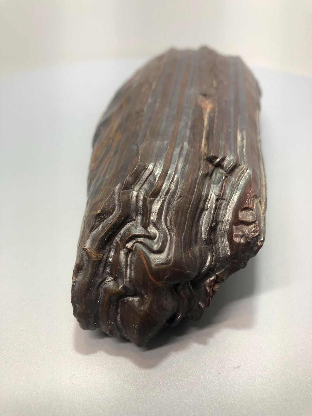 1lb 8oz Premium Wind Slick Banded Iron Formation Genesis Seer Stone ...