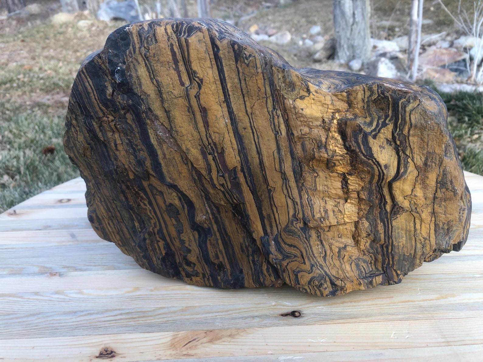 48lb Huge Banded Iron Formation Boulder, Unique Garden Home Decor ...