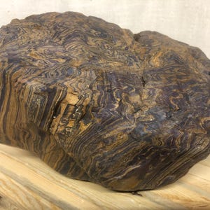48lb Huge Banded Iron Formation Boulder, Unique Garden Home Decor ...