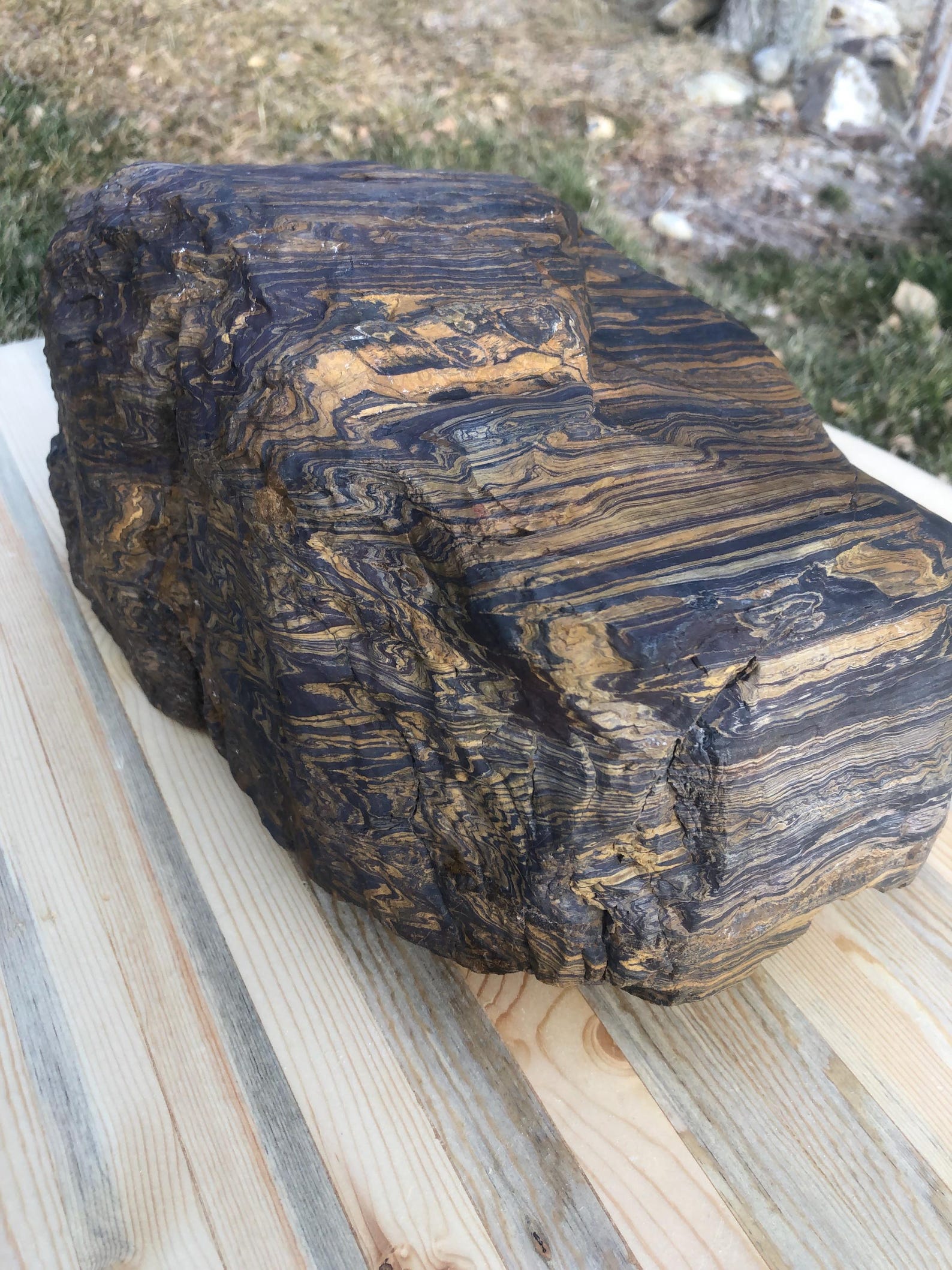 48lb Huge Banded Iron Formation Boulder, Unique Garden Home Decor ...