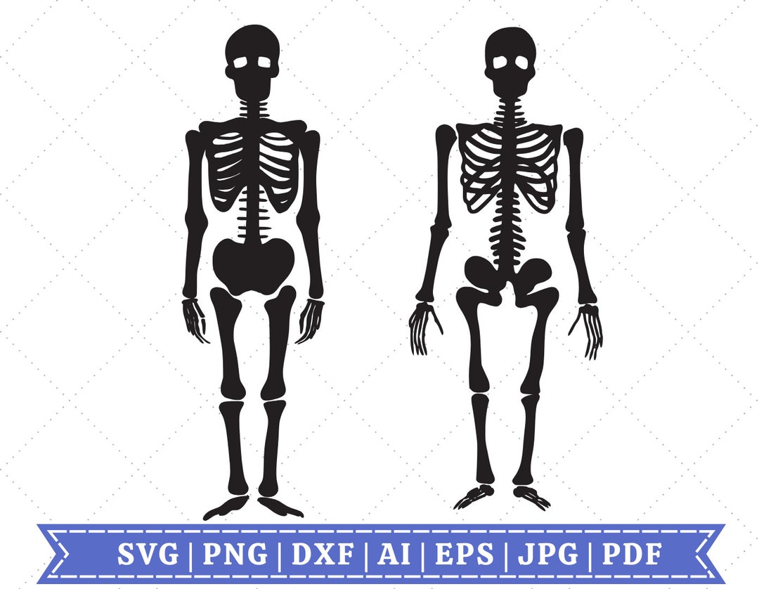 Skeleton Mini SVG Bundle | Skeleton Silhouette SVG Bundle | Halloween ...