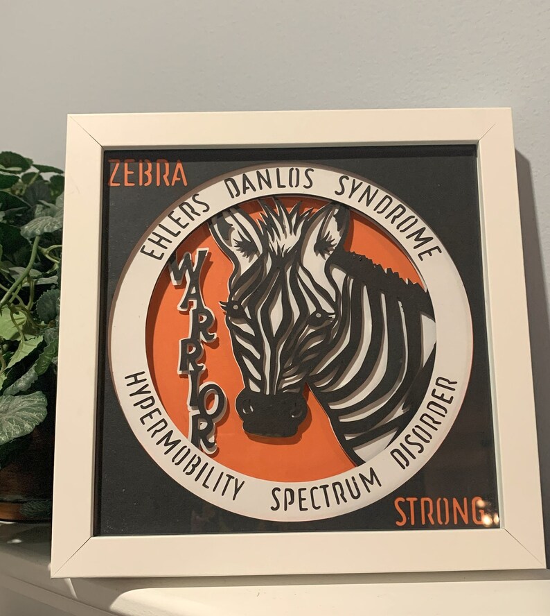 Ehlers Danlos Syndrome Zebra Shadow Box: EDS Awareness Gift - Etsy
