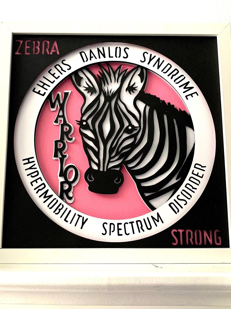 Ehlers Danlos Syndrome Zebra Shadow Box: EDS Awareness Gift - Etsy