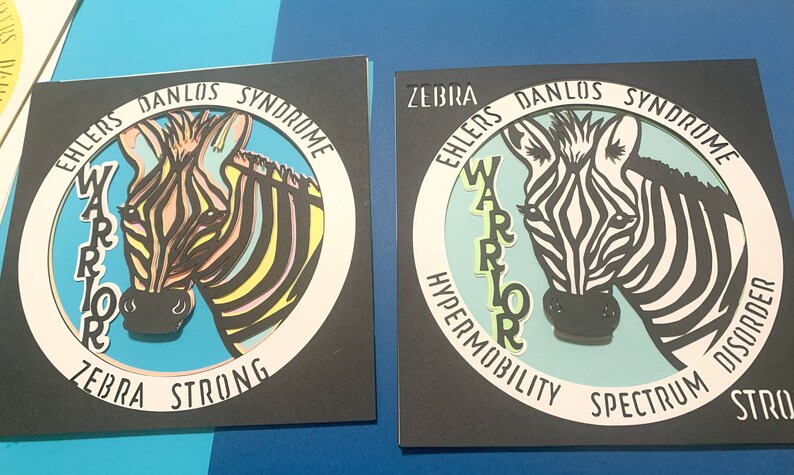 Ehlers Danlos Syndrome Zebra Shadow Box: EDS Awareness Gift - Etsy