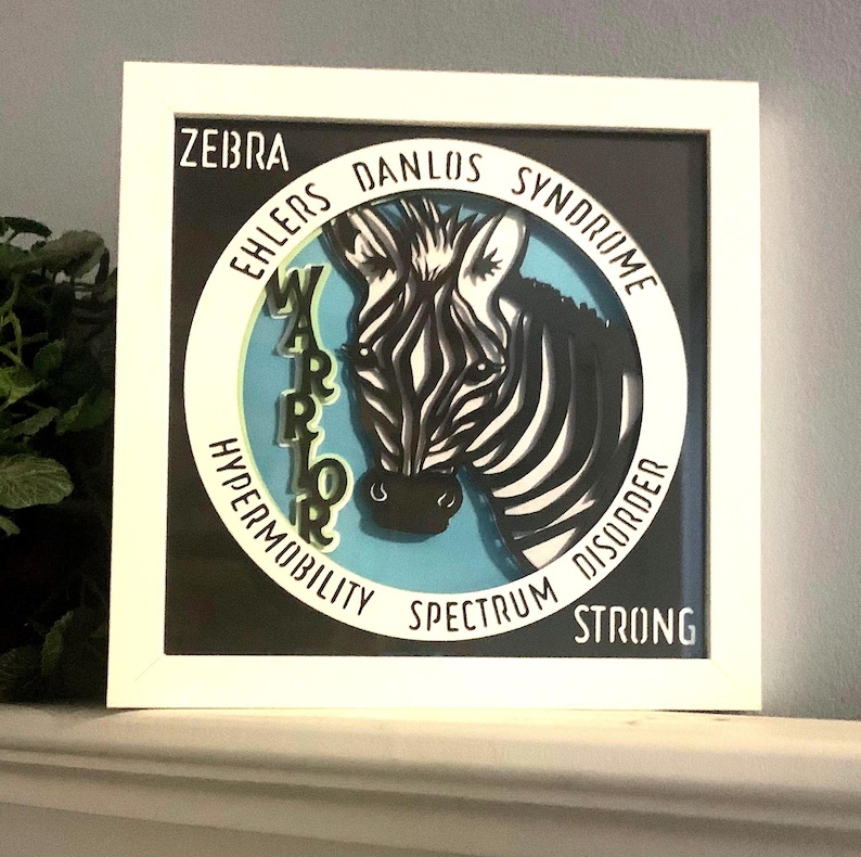 Ehlers Danlos Syndrome Zebra Shadow Box: EDS Awareness Gift - Etsy
