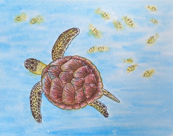 Sea Turtle Sea Turtles Green Turtle Turtle Artwork Turtle - Etsy