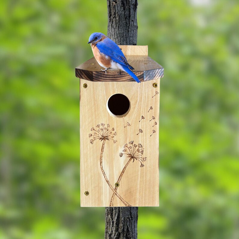 Bluebird House, Wood Bird House, Nesting Box for Bluebirds, Gift for ...