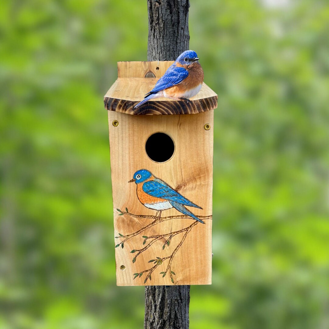 Bluebird House, Wood Bird House, Nesting Box for Bluebirds, Gift for ...