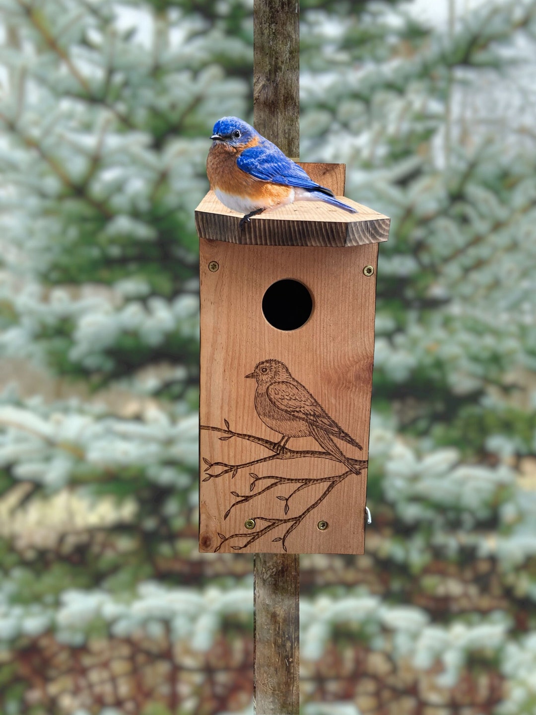 Bluebird House, Wood Bird House, Nesting Box for Bluebirds, Gift for ...
