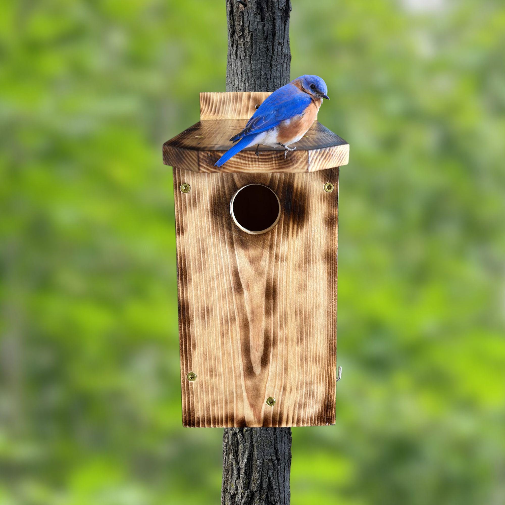 Bluebird House, Rustic Nesting Box, Handmade Gift for Birder - Etsy