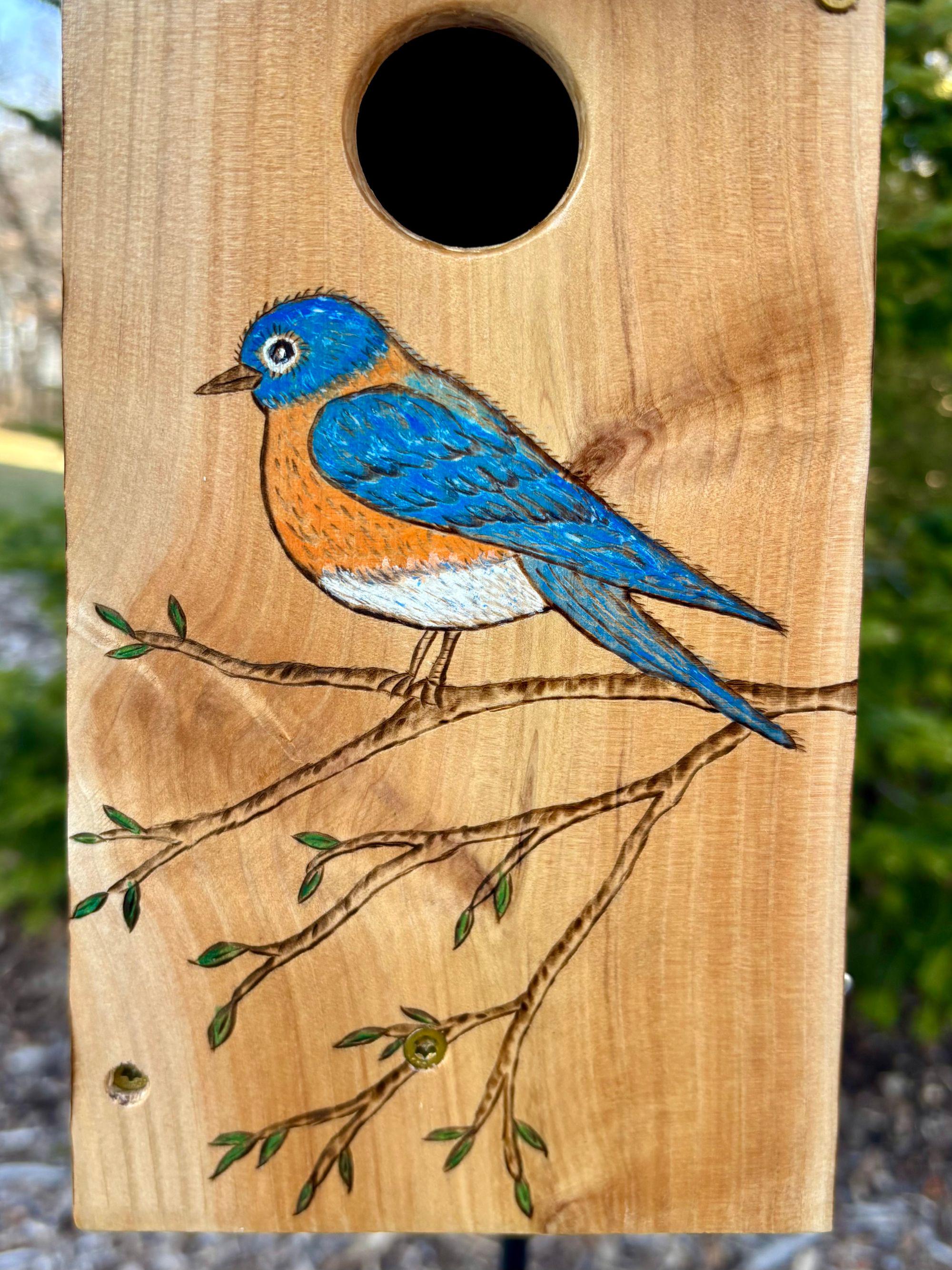 Bluebird House, Wood Bird House, Nesting Box for Bluebirds, Gift for ...