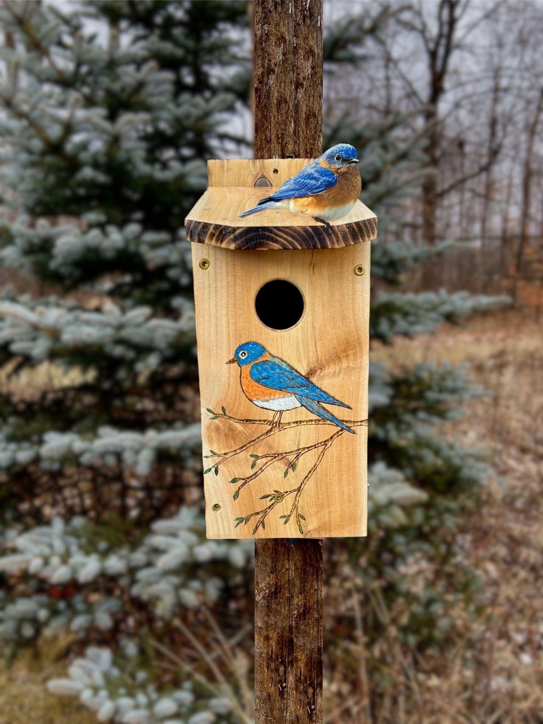 Bluebird House, Wood Bird House, Nesting Box for Bluebirds, Gift for ...