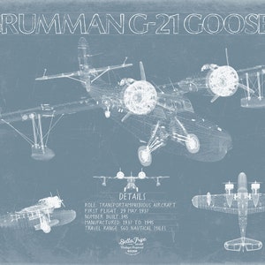Grumman G-21 Goose Blueprint Wall Art - Original Airplane Print - Etsy