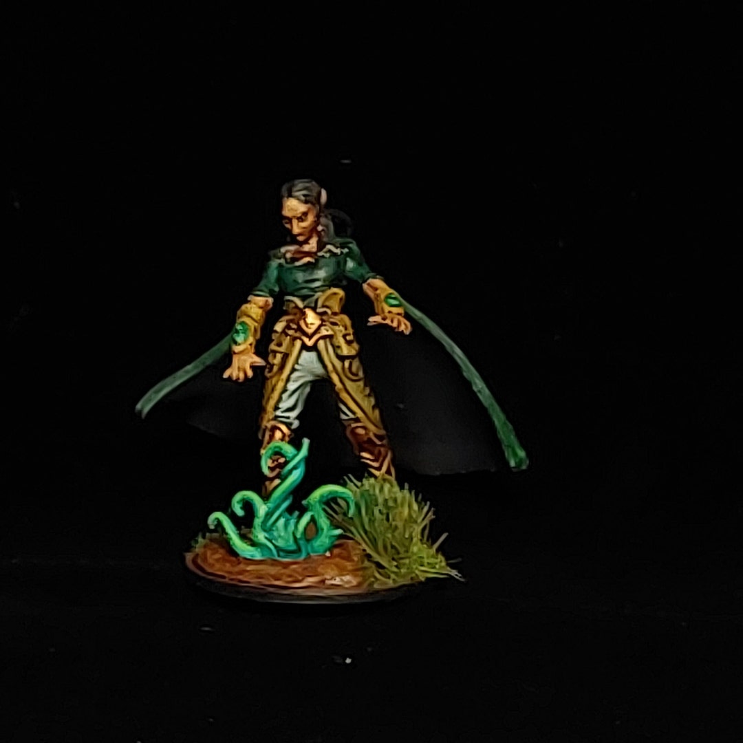 Elf Druid Miniature Painted Dnd Mini Wizkids Dungeons and Dragons D&D ...