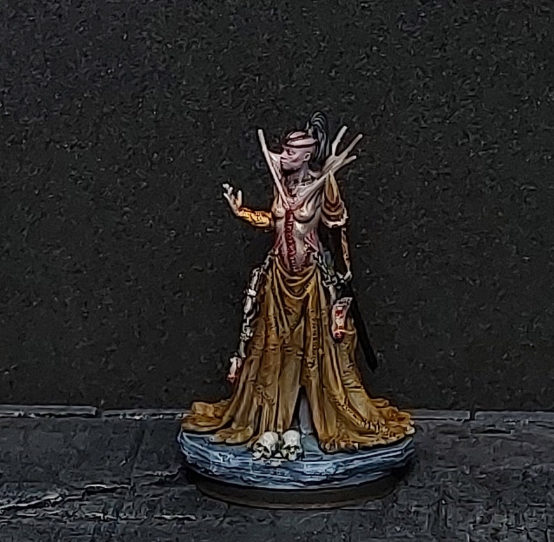 Female Wizard Mini Female Necromancer Miniature Painted Dnd - Etsy