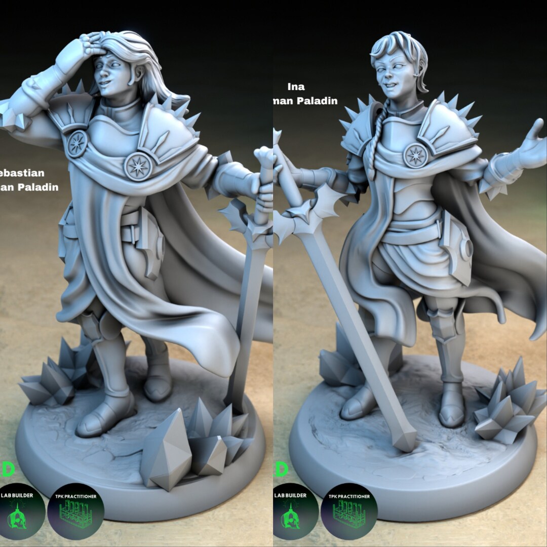 Human Male Female Paladin Miniatures Sebastian and Ina Paladin Knight ...